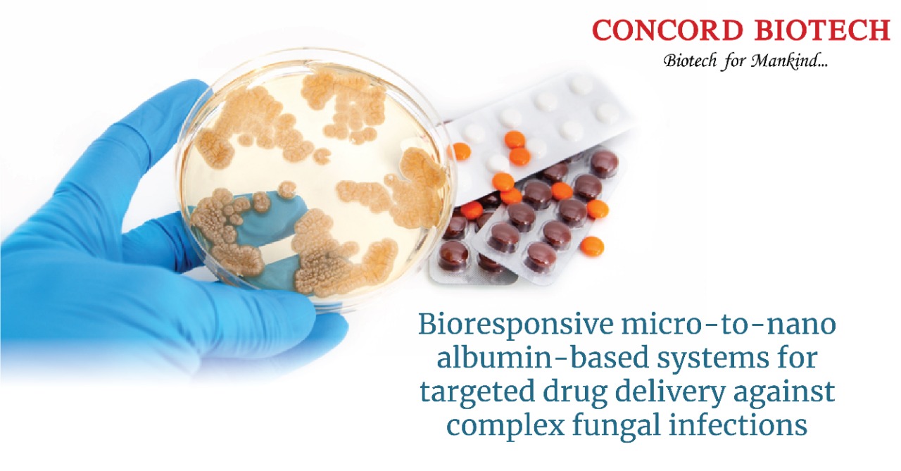 Bioresponsive micro-to-nano albumin-based systems for targeted drug ...