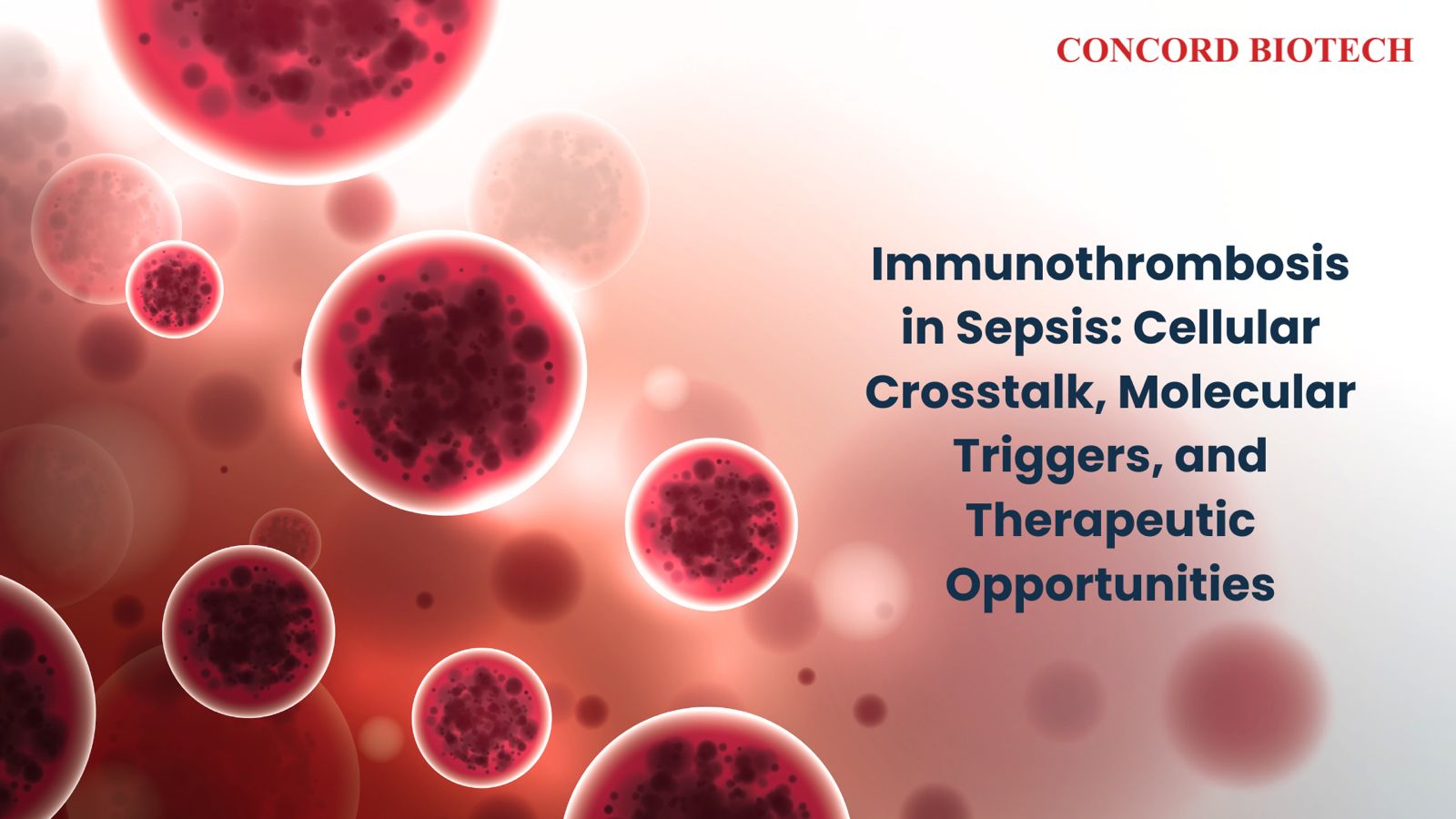 Immunothrombosis in Sepsis: Cellular Crosstalk, Molecular Triggers and ...